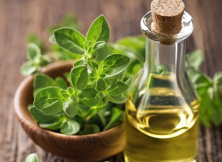 DIY Wellness Blends with Organic Oregano Essential Oil – Sva Naturals