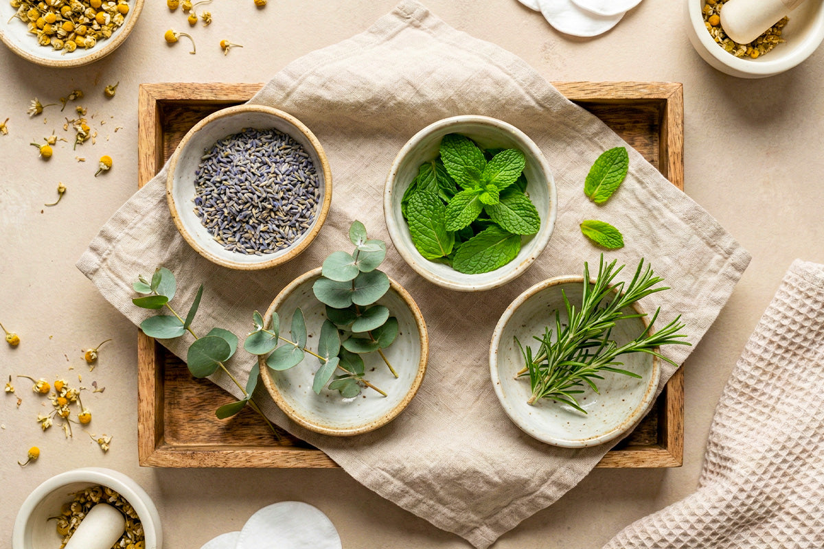 Top essential oils and their everyday uses – Sva Naturals