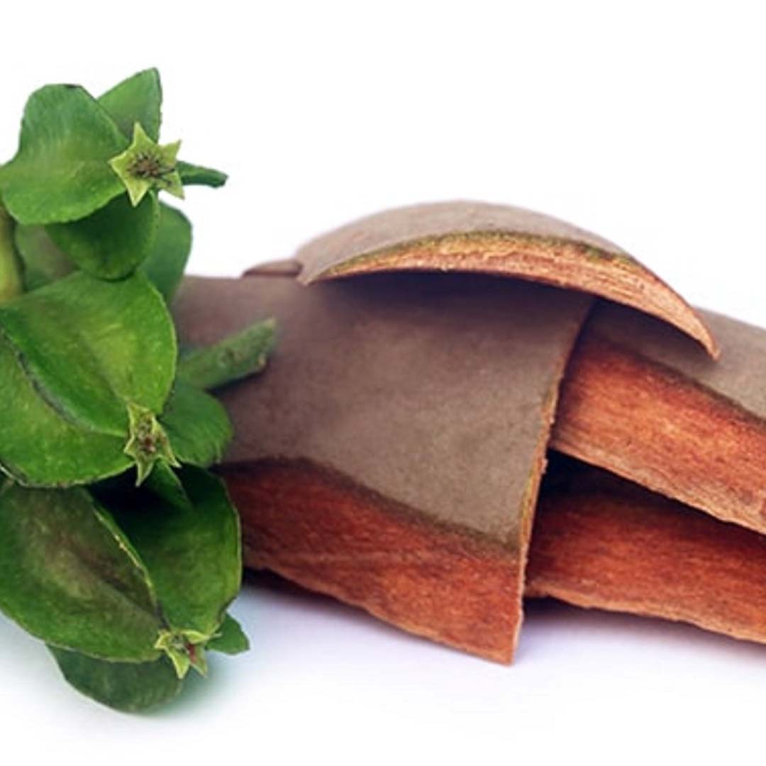 SVA Naturals: Buy Bulk Arjuna Extract in Bulk from Wholesale Exporter ...