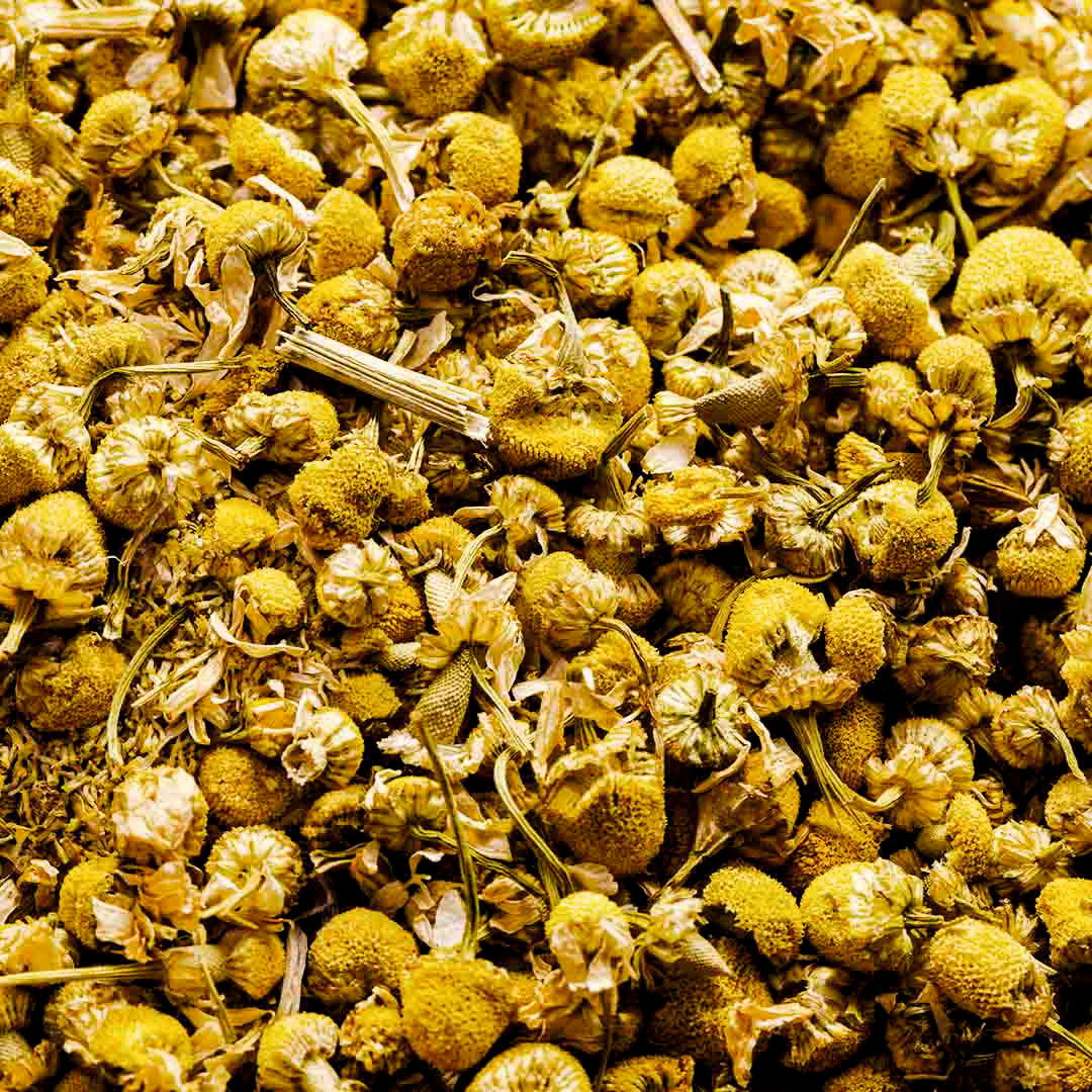 SVA Naturals: Bulk Manufacturer of Alpha Bisabolol Natural – Sva Naturals